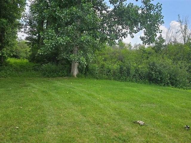 Joey Dr, Putnam Township, MI 48169