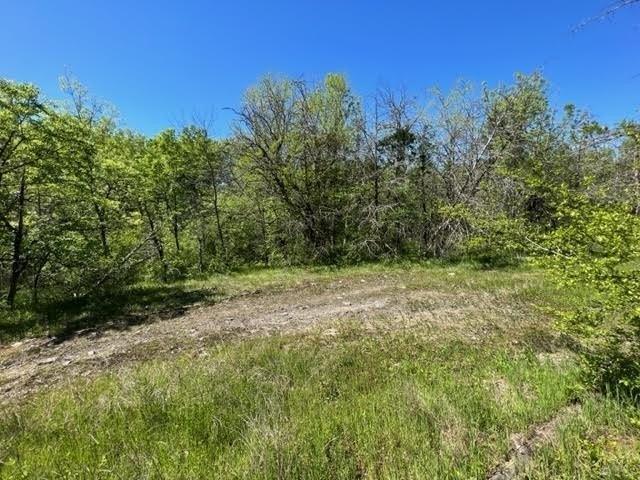 Joe Brown Rd, Spring Hill, TN 37174