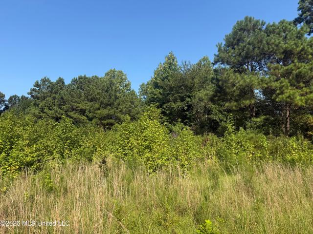 Joe Hall Road, Flora, MS 39071