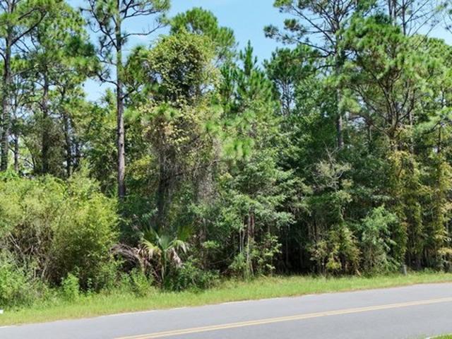 Joe Mack Smith St, Panacea, FL 32346