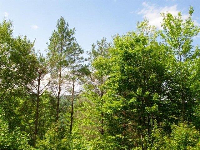 John B Hewitt Spur, Roxbury, Plot For Sale