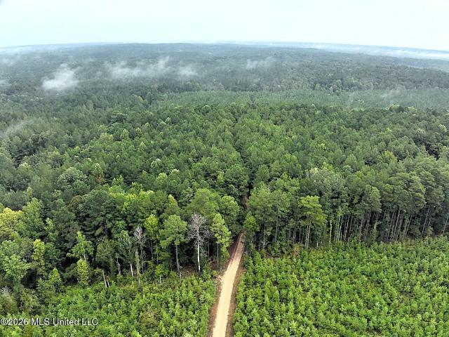 John Chambers Road, Roxie, MS 39661