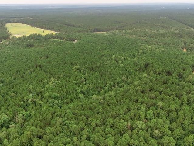 John Hensley Rd, Livingston, TX 77351