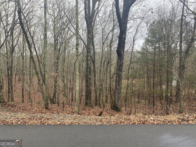 John Ingram Rd, Silver Creek, GA 30173