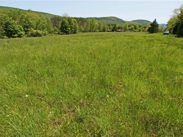 John Shultis Rd, Roxbury, NY 12474