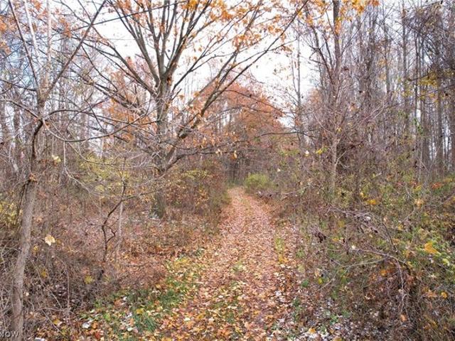 John Thomas Rd, Ravenna, OH 44266