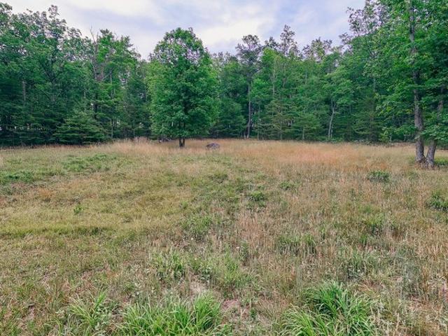 Johns Creek Mountain Rd, New Castle, VA 24127