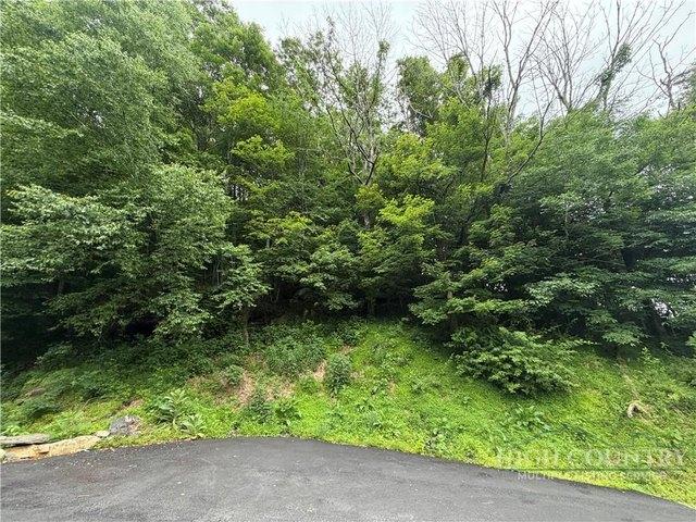 Johns Mountain Rd, Vilas, NC 28692
