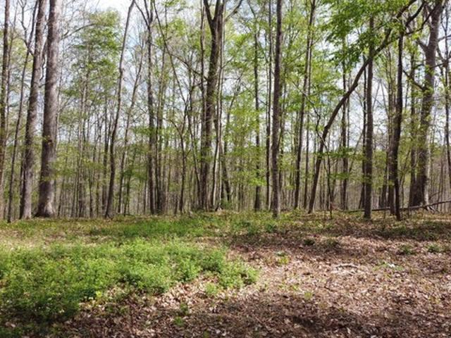 Johnson Chapel Rd, Sparta, TN 38583