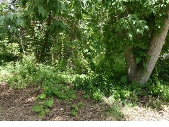 Johnson Dr Lot 4, Orion, MI 48362