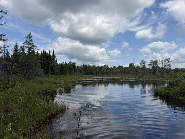 Johnson Flat Rd, Pittsfield, Plot For Sale