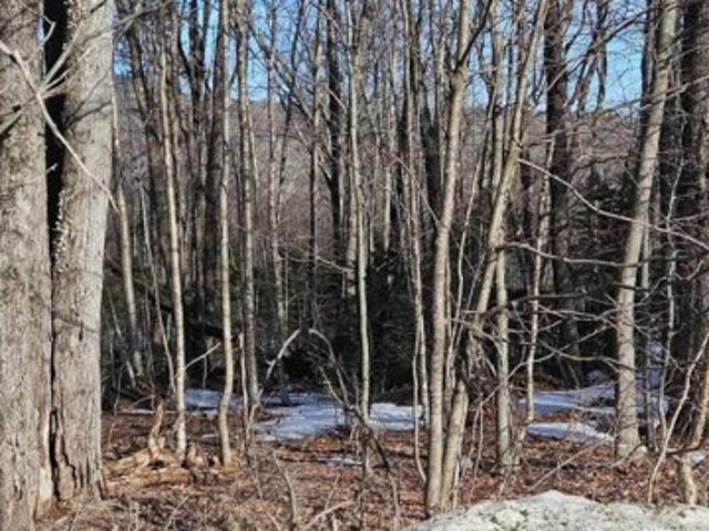 Johnson Hill Rd, Dover, Plot For Sale