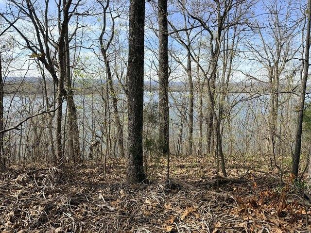 Johnson Ln Lot 8, Ten Mile, TN 37880