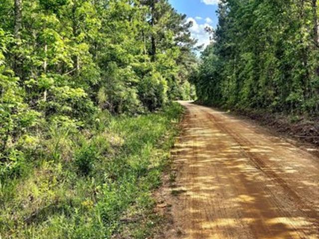 Johnson Rd, Musella, GA 31066