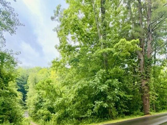 Johnson Rd, Canaan, Plot For Sale