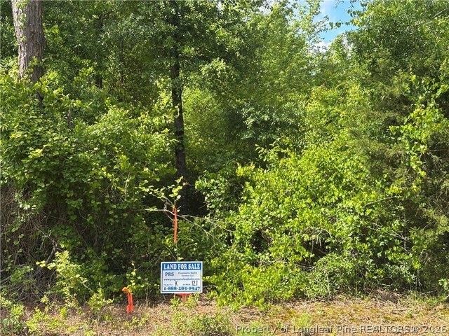 Johnson Rd, Fayetteville, NC 28312
