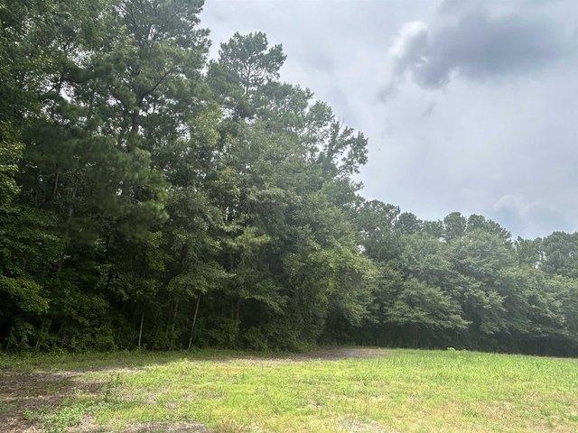 Johnson Rd, Galivants Ferry, SC 29544