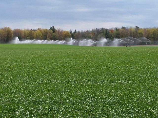 Johnson Rd, Kaleva, MI 49645
