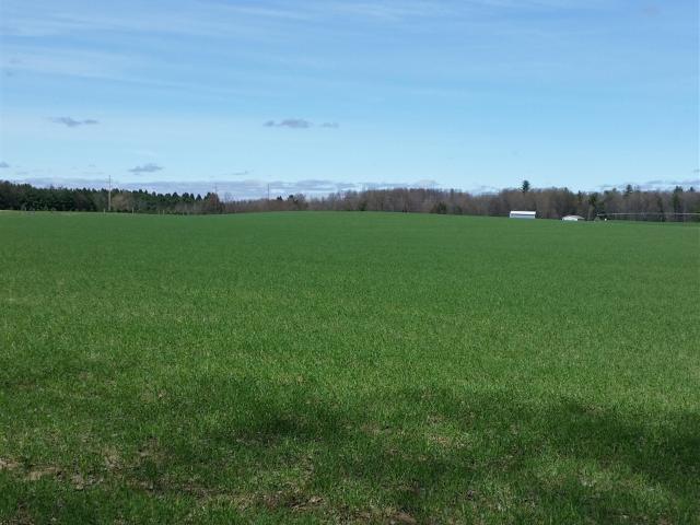 Johnson Road