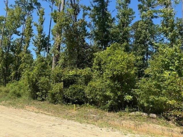 Johnson St Lot 1 3, Wewahitchka, FL 32465
