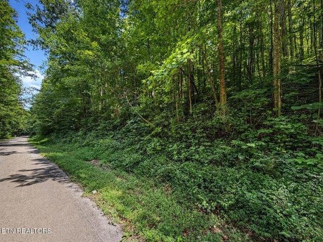 Johnson Valley Rd, Philadelphia, TN 37846