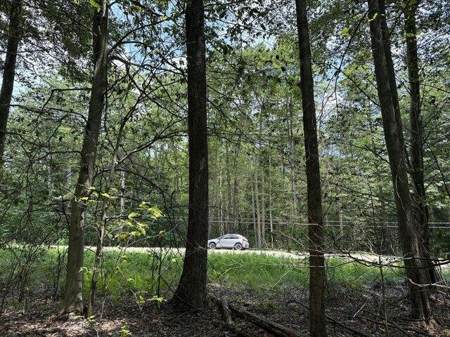 Johnsonburg Rd, Saint Marys, Plot For Sale
