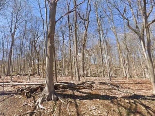 Johnston Dr, Watchung, Plot For Sale