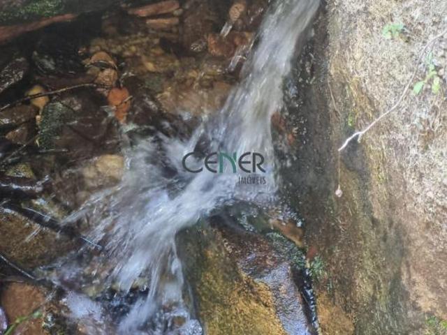 Jóia rara em Taquaraçu de Minas/MG, com 200.38 hectares de beleza natural e produtividade!