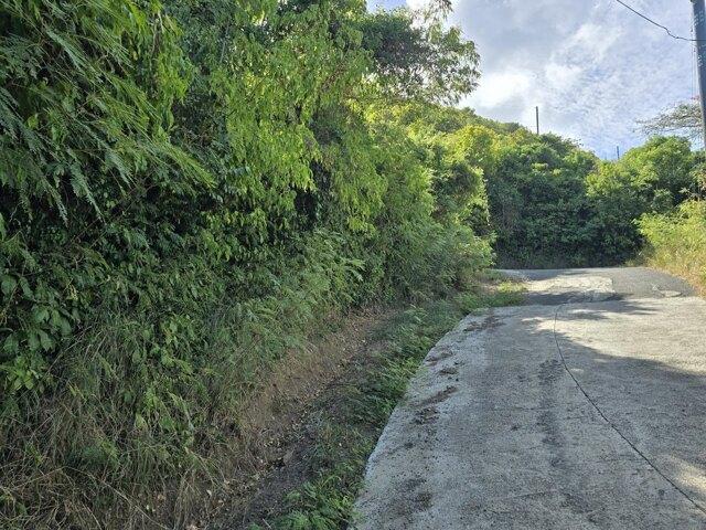 Jolly Hl # We, Saint Croix, Plot For Sale