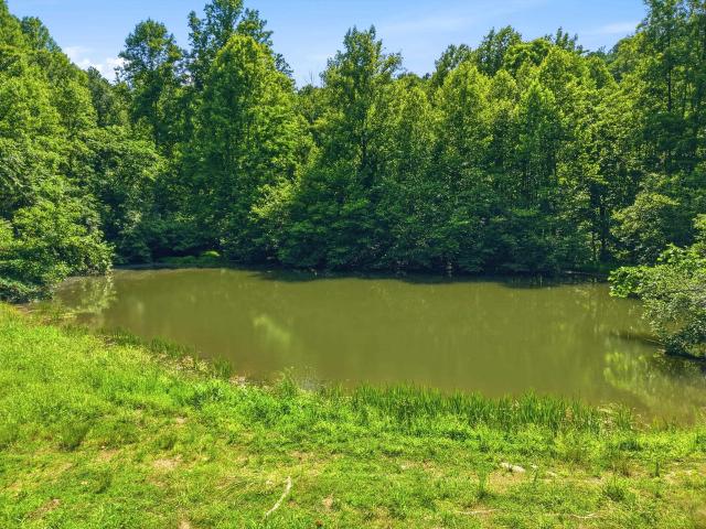 Jordan hollow rd