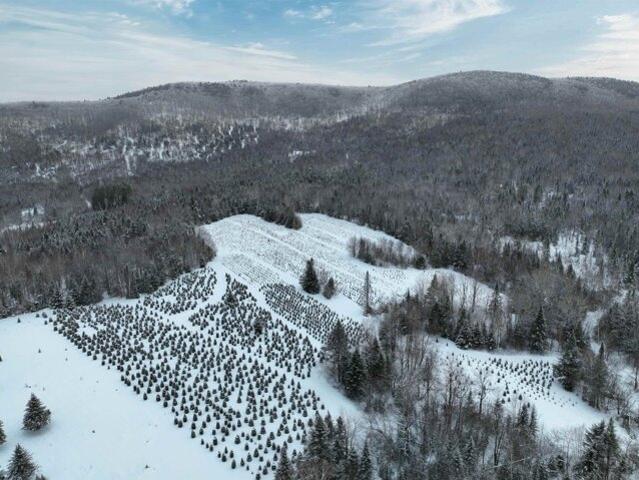 Jordan Hill Rd, Columbia, Plot For Sale