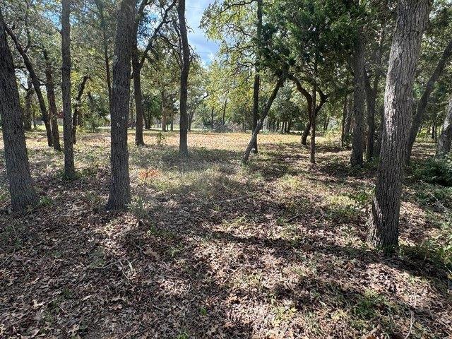 Jordan Lot [] 000 Ln Lot 1, Elgin, TX 78621