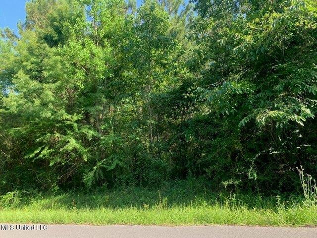 Josephine St, Pass Christian, MS 39571