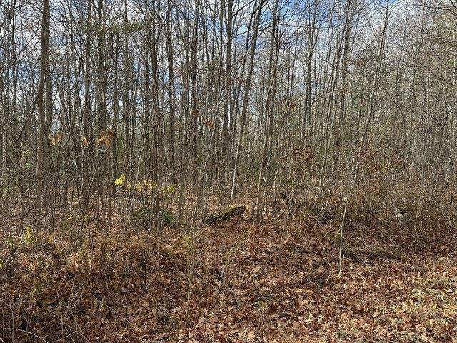 Jourdan Rd Lot 9, Montgomery, MA 01085