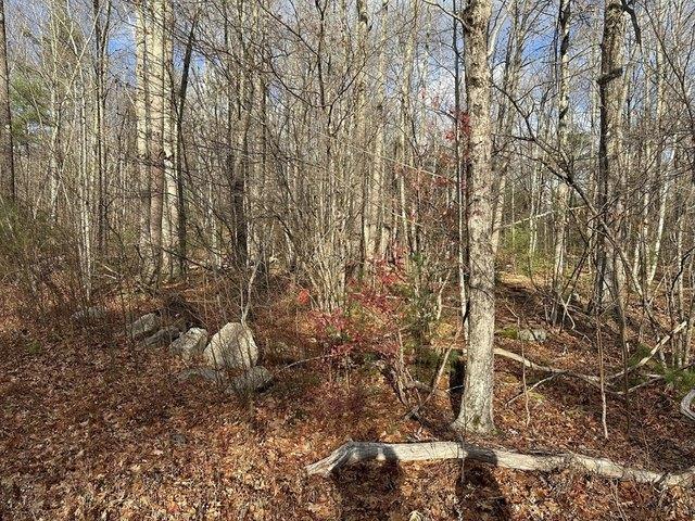 Jourdan Rd Lot 2, Montgomery, MA 01085