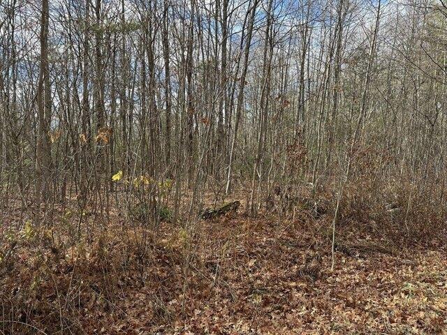 Jourdan Rd Lot,montgomery, Plot For Sale