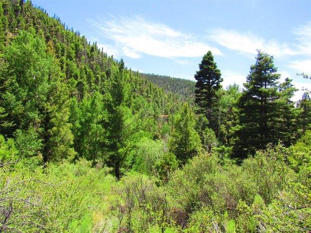 Joy Rd Lot 5526, Fort Garland, CO 81133