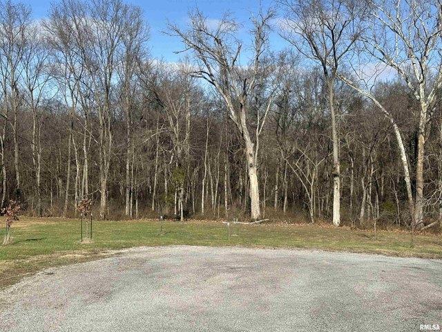 Joyce Ln, Vienna, IL 62995