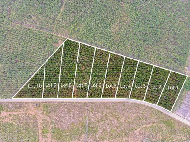 Joyner Swamp Rd Lot 5A, Galivants Ferry, SC 29544