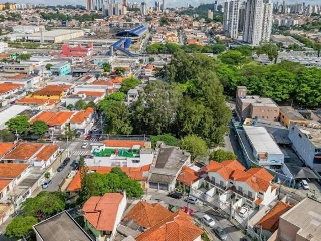 JPPRÉB 153 Lote 601461011 38