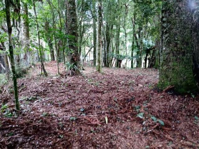 junto ao Lage de Pedra