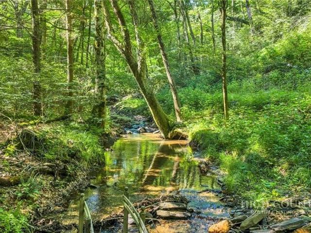 Junaluska, Boone, NC 28607