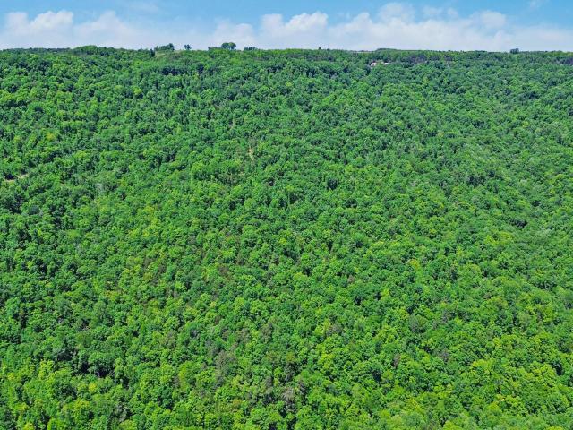 Junaluska Hwy, Jamestown, TN 38556