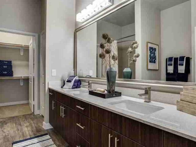 Junction at Galatyn Park 1 Bedroom Apartment for Rent at 1050 Galatyn Pkwy, Richardson, TX 75082