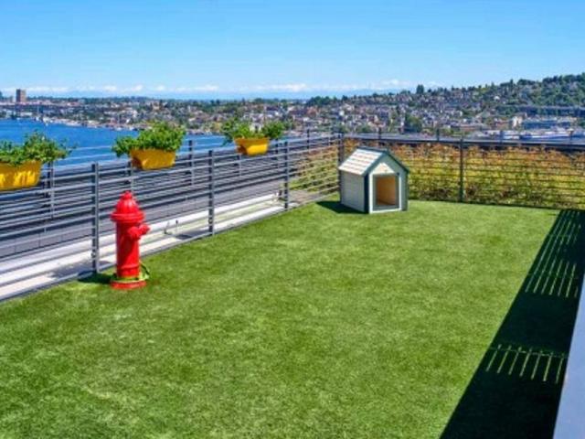 June on South Lake Studio Apartment for Rent at 1622 Aurora Ave N, Seattle, WA 98109 Westlake