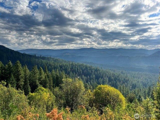 Juneberry Ln, Leavenworth, WA 98826