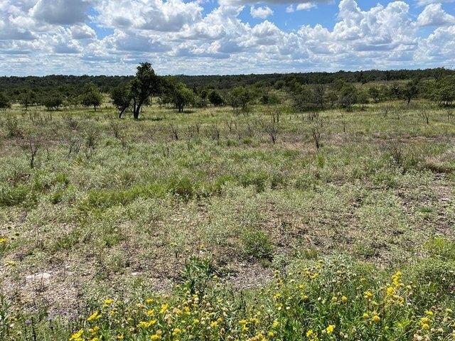 Jung Rd Lot 3, Harper, TX 78631