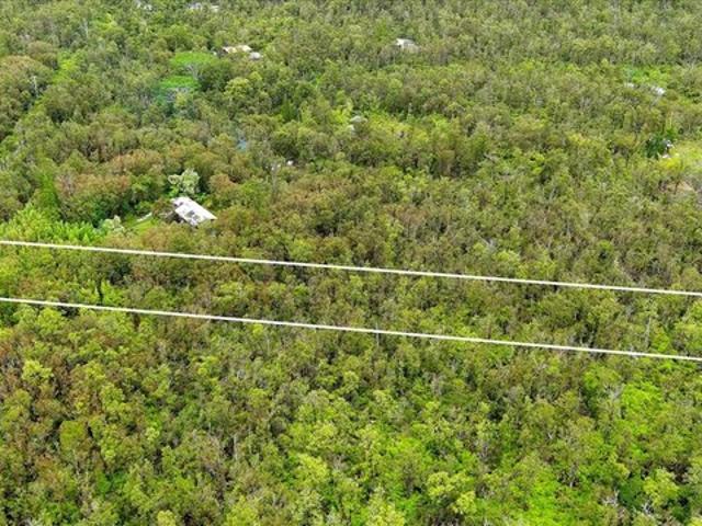 Jungle King Ave, Volcano, HI 96785