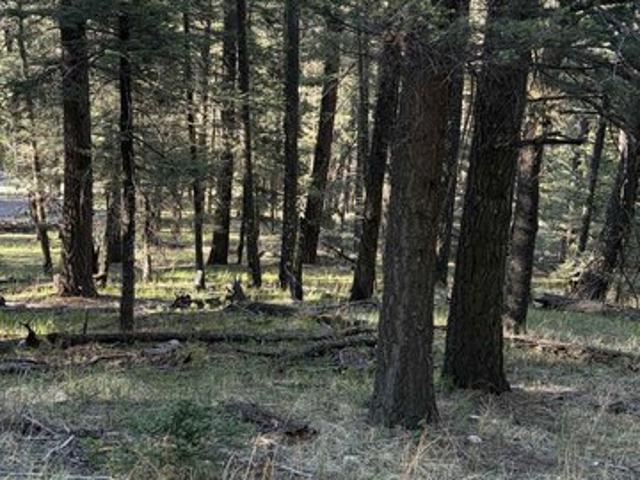 Juniper, Mayhill, NM 88339