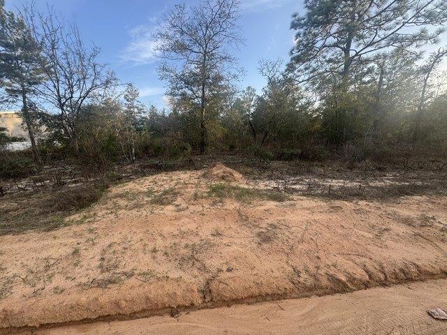 Juniper Ave, Defuniak Springs, FL 32433